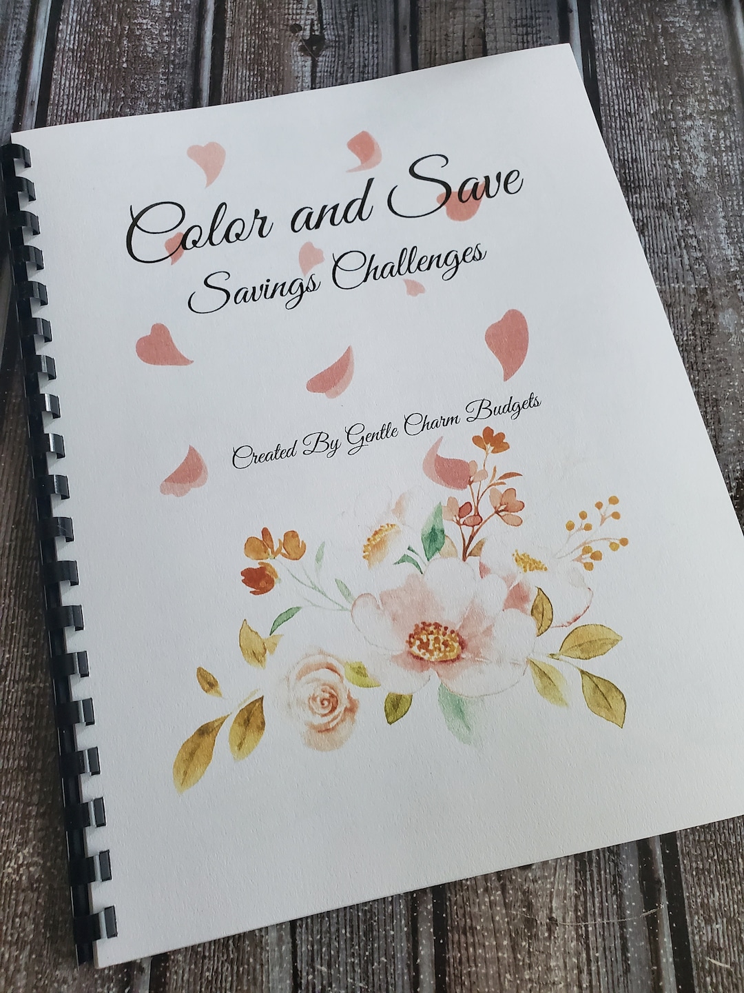 Color & Save Savings Challenge Book - Etsy