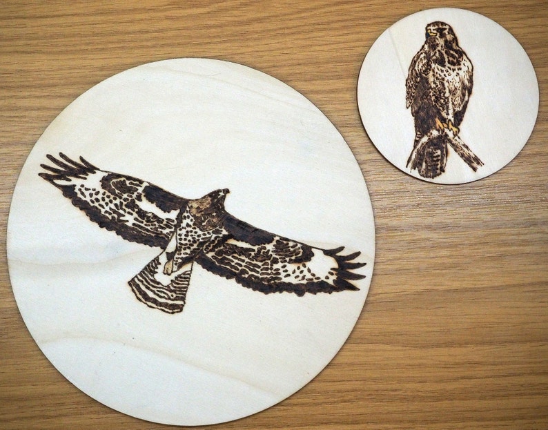 UK Birds of Prey - Buzzard, Red Kite, Kestrel and Little Owl - Pyrography on Wooden Disc ...