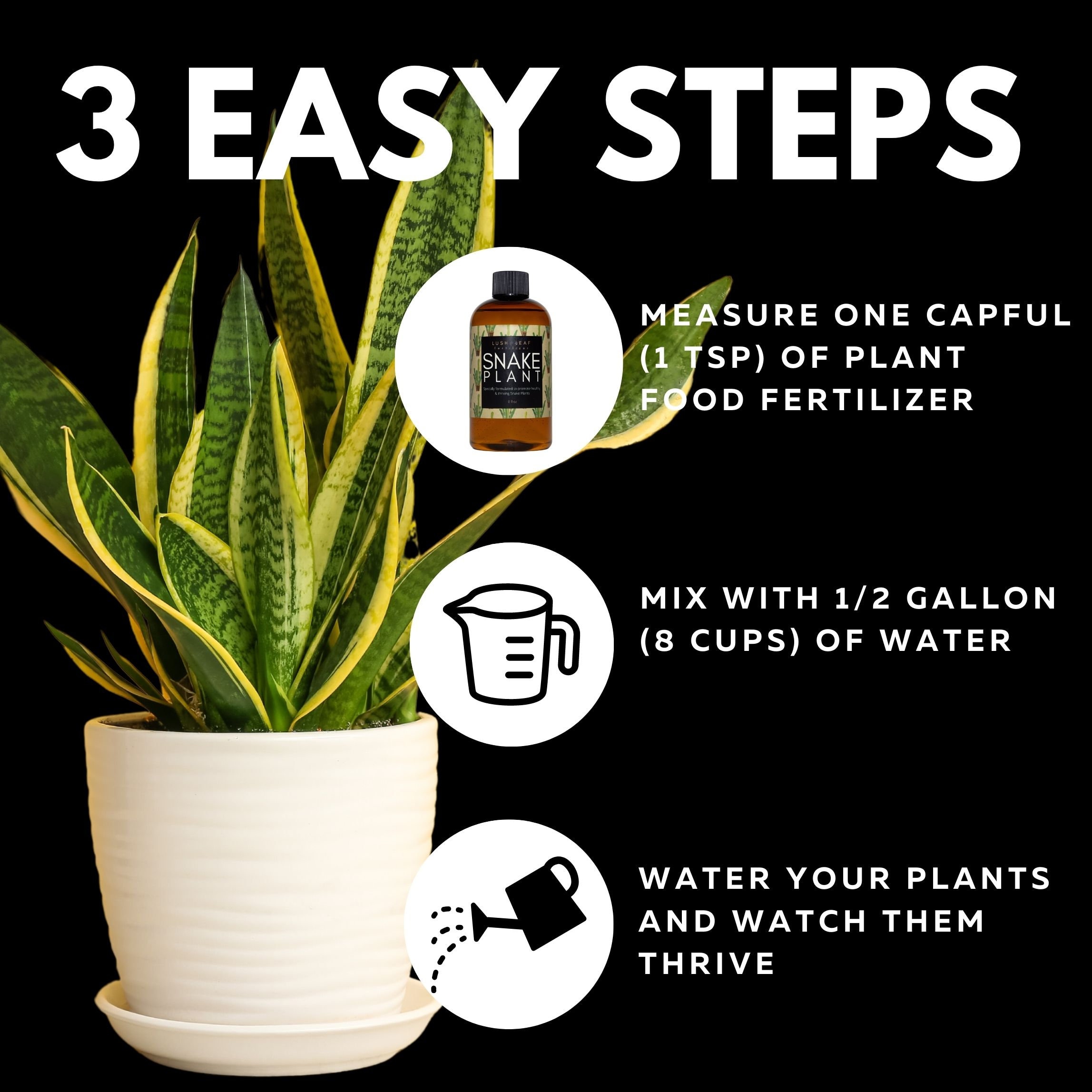 Snake Plant Fertilizer Liquid Concentrate Plant Food for Healthy and ...