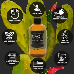Cacti and Succulent Plant Food and Fertilizer Concentrate for All ...