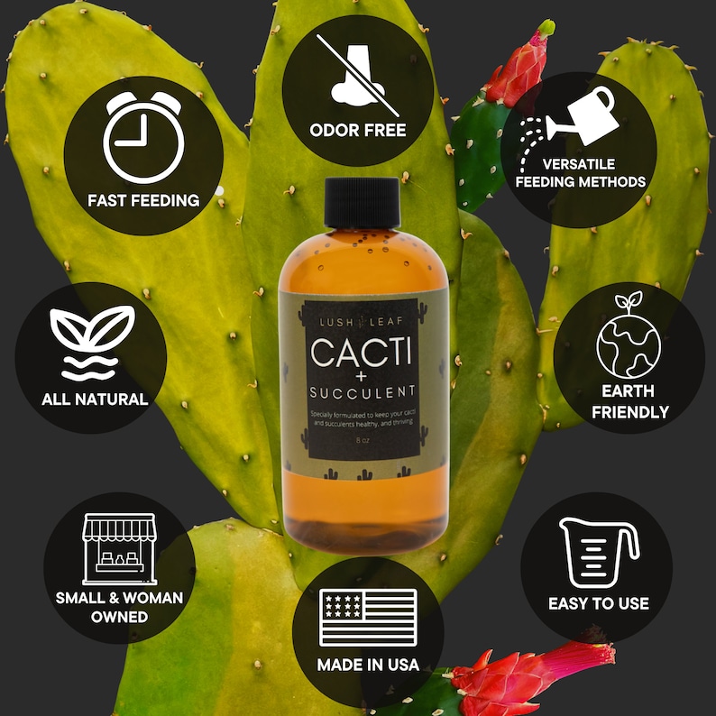 Cacti and Succulent Plant Food and Fertilizer Concentrate for All ...
