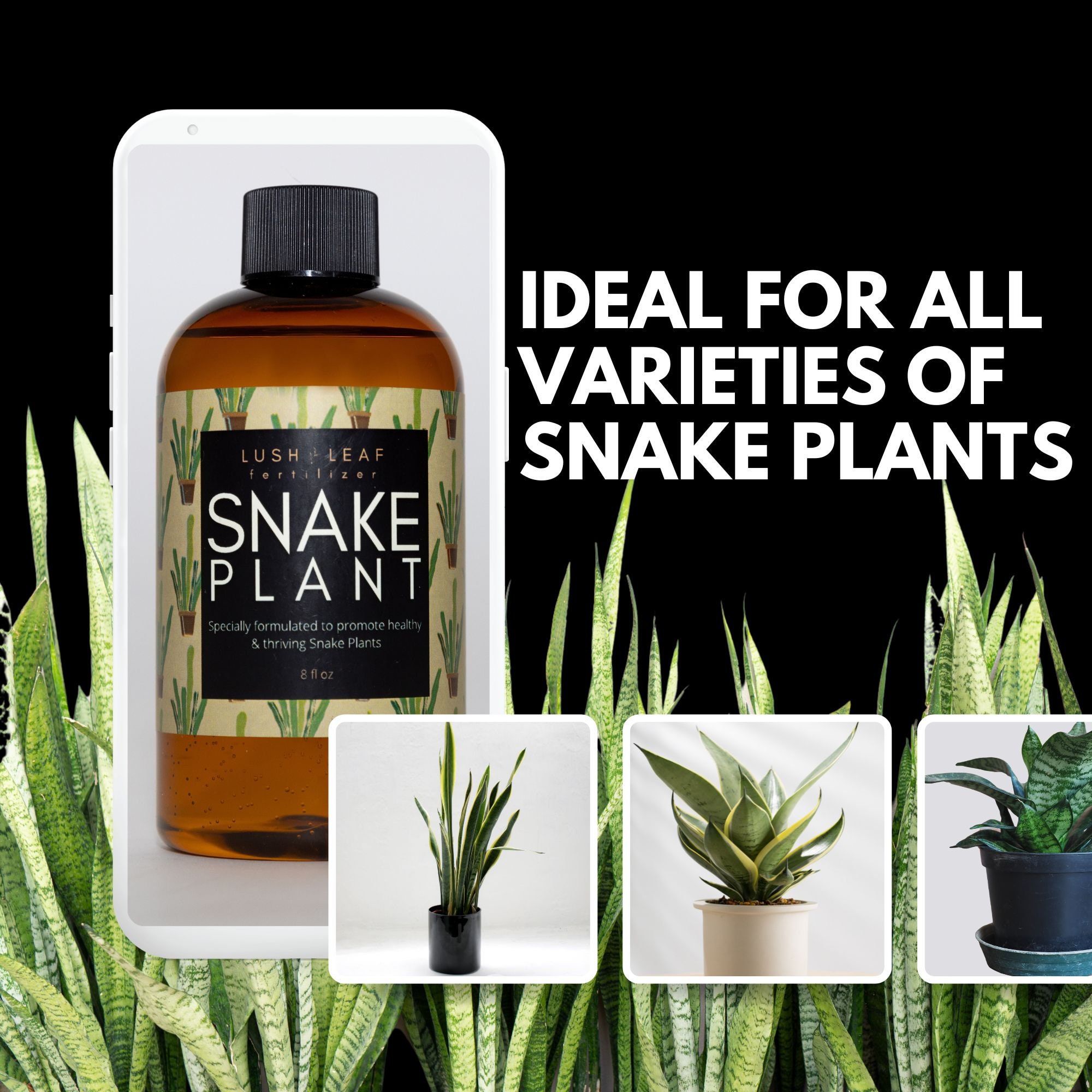 Snake Plant Fertilizer Liquid Concentrate Plant Food for Healthy and ...