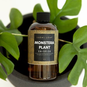 Monstera Fertilizer Natural Plant Food for Fast Growth and Healthy ...