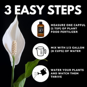 Peace Lily Plant Food Liquid Concentrate Fertilizer for Healthy and ...