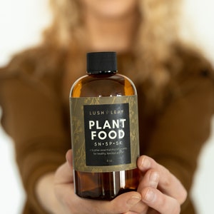 Lush Leaf Natural Indoor & Outdoor Plant Food and Fertilizer for Rapid ...