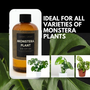 Monstera Fertilizer Natural Plant Food for Fast Growth and Healthy ...