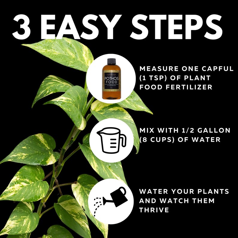 Pothos Plant Food Liquid Fertilizer Concentrate for Healthy and ...