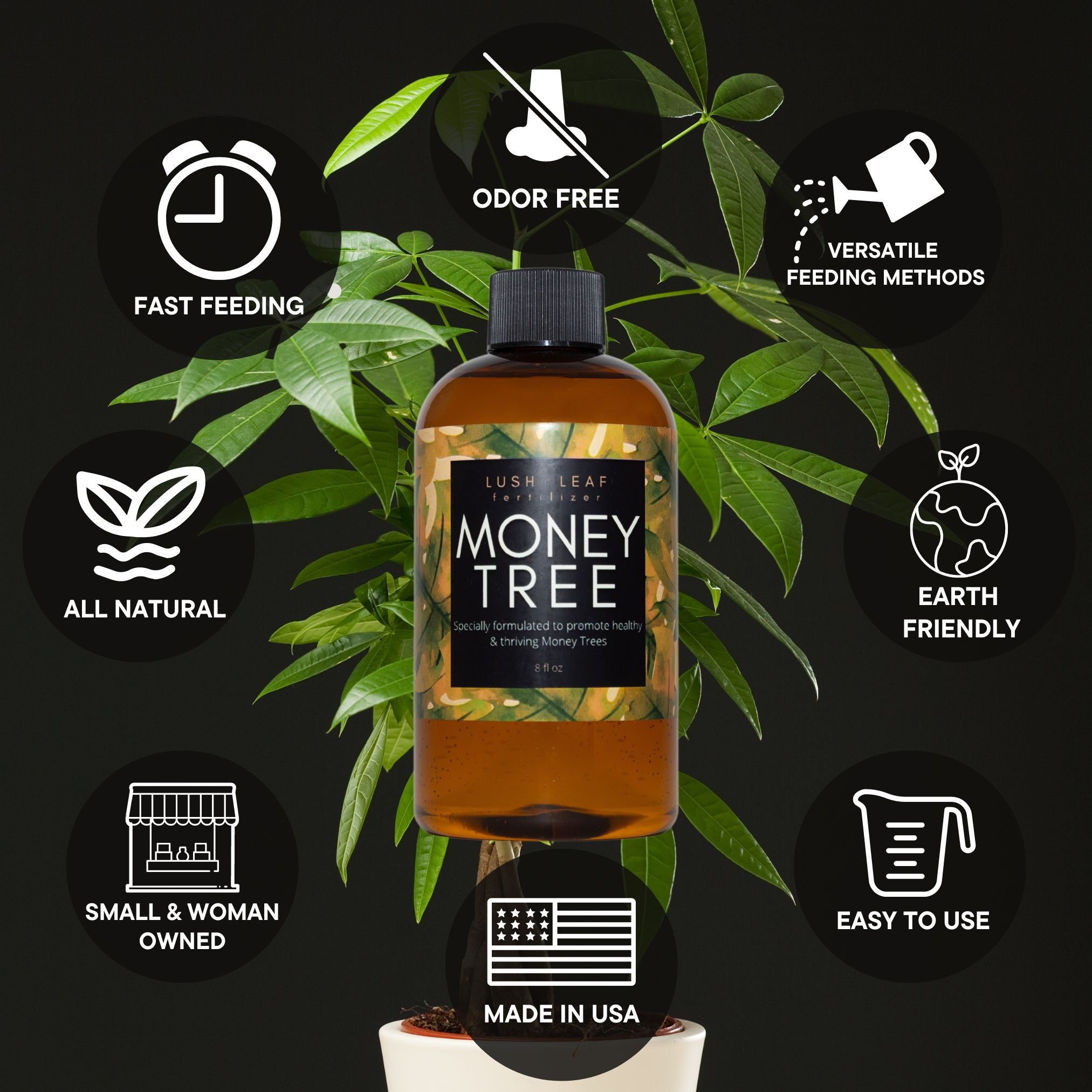 Money Tree Plant Food Liquid Concentrate Fertilizer for Healthy ...