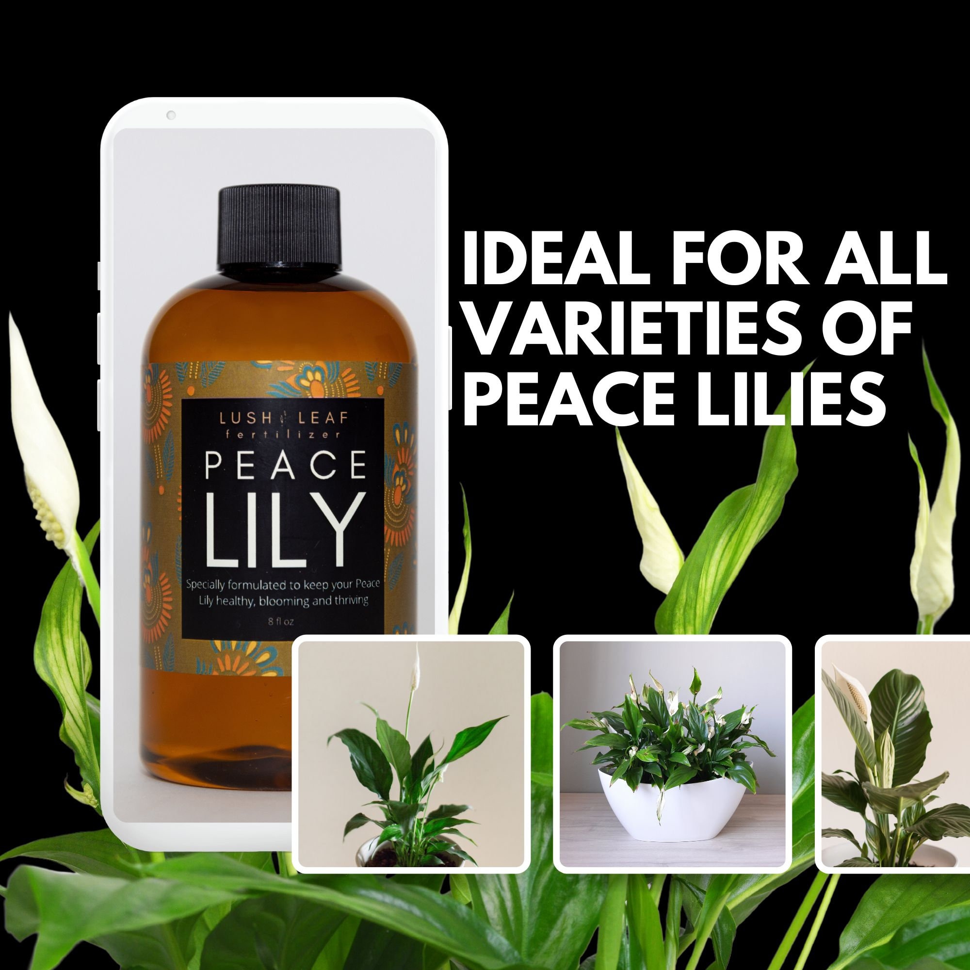 Peace Lily Plant Food Liquid Concentrate Fertilizer for Healthy and ...