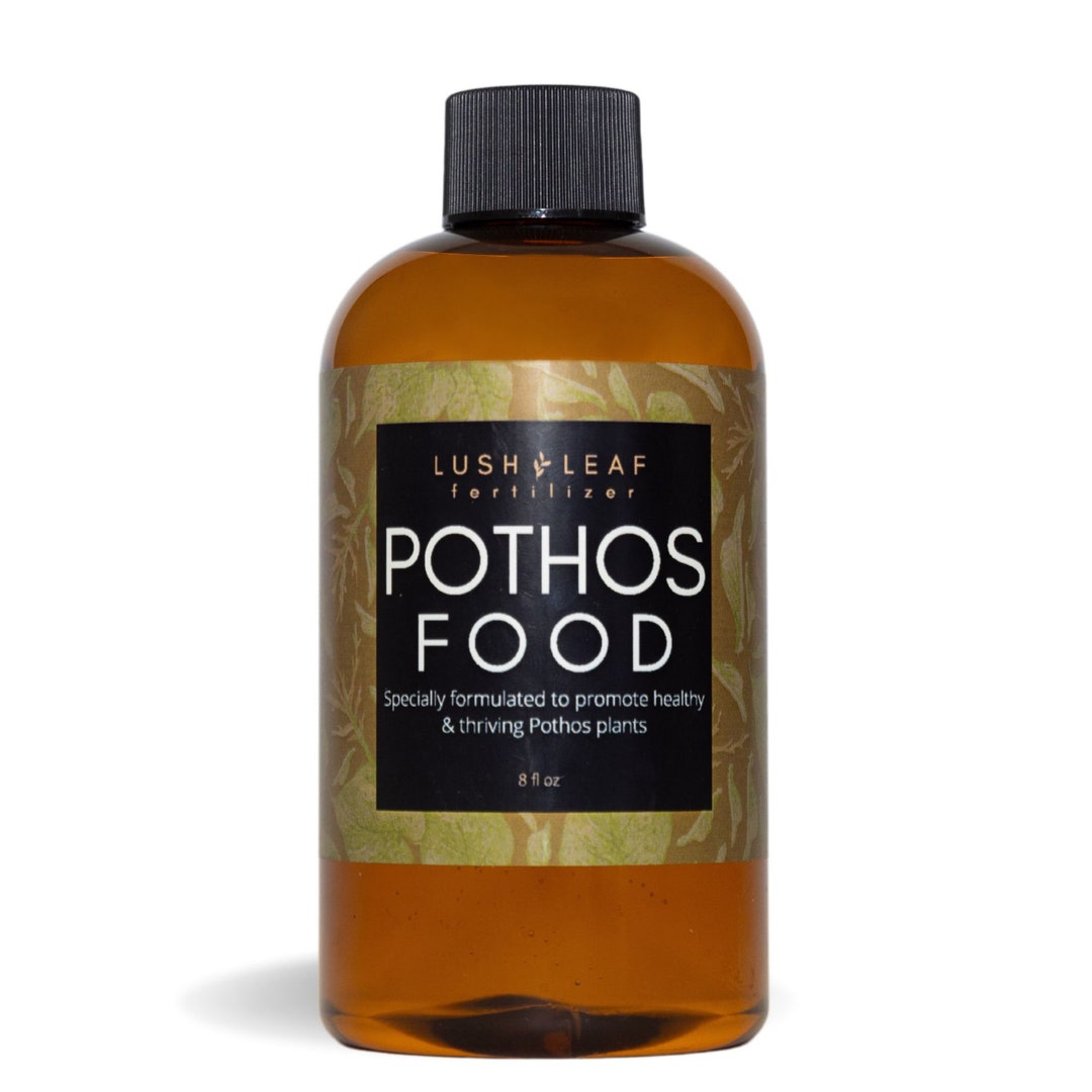 Pothos Plant Food Liquid Fertilizer Concentrate for Healthy and ...