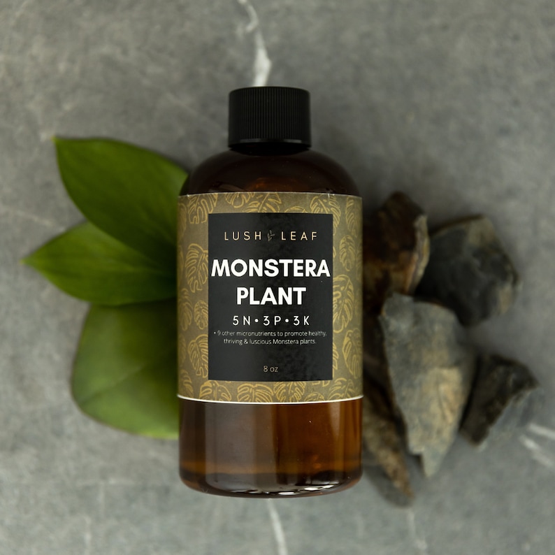 Monstera Fertilizer Natural Plant Food for Fast Growth and - Etsy
