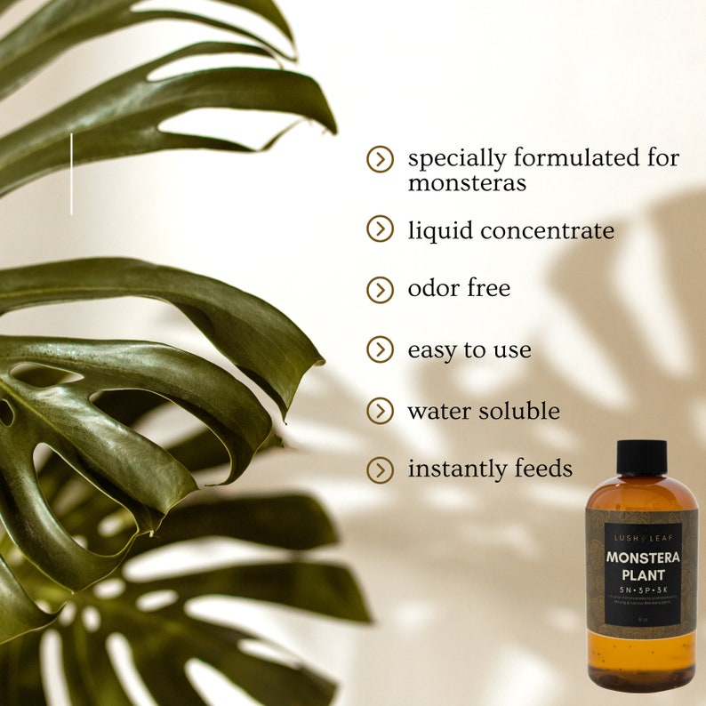 Monstera Fertilizer Natural Plant Food for Fast Growth and - Etsy