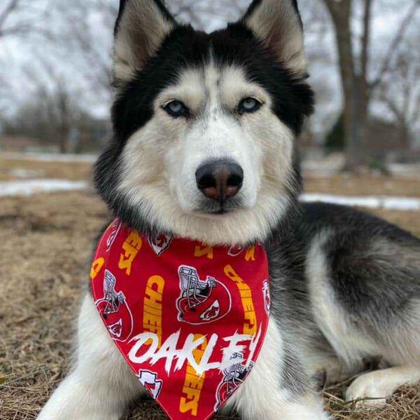 Dog Accessories Kc Chiefs - Etsy