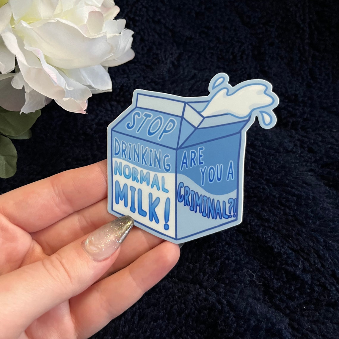 Milk Carton Sticker - Meme - Funny Saying - Etsy