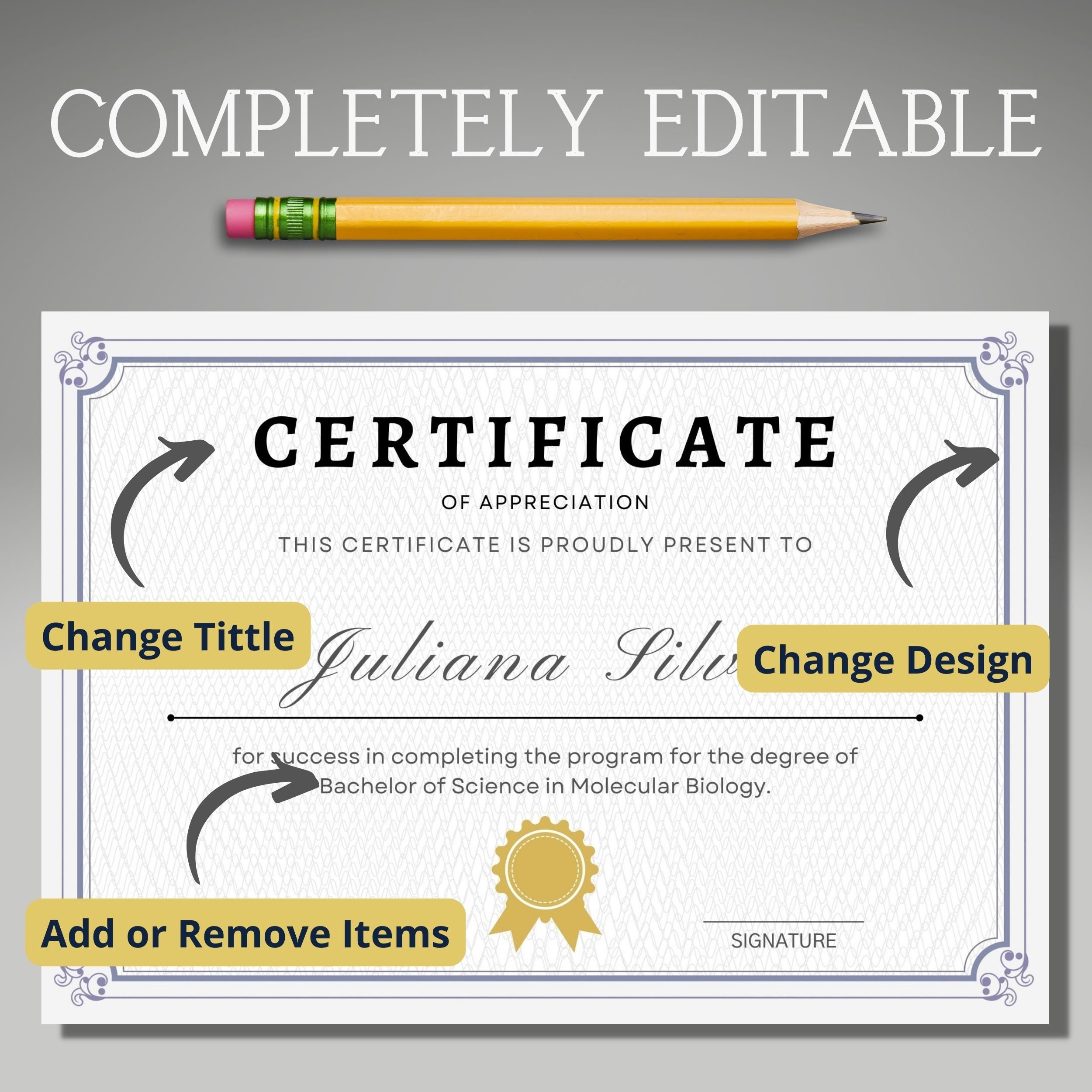 Editable Appreciation Certificate Template: Printable Achievement Award ...