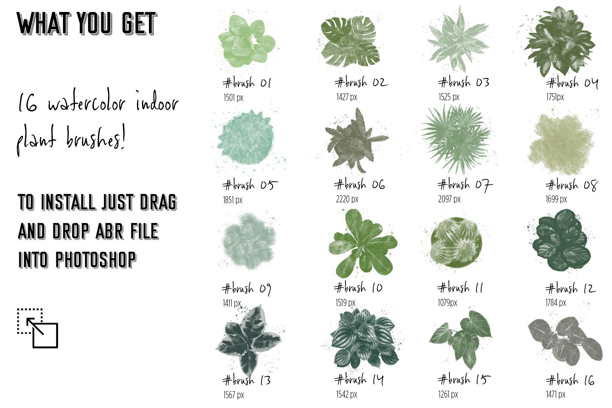 Photoshop Brush Set WATERCOLOR PLANT Abr + Png + Jpg / Illustration ...