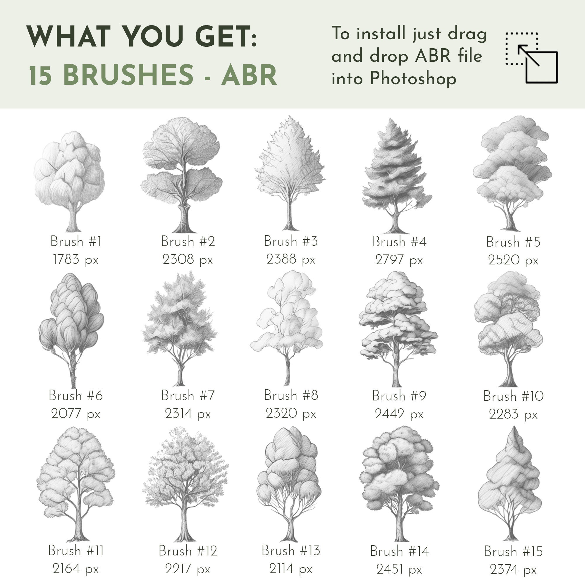 Photoshop Brush Set PENCIL TREES Abr Png Jpg / Illustration Pack / High ...