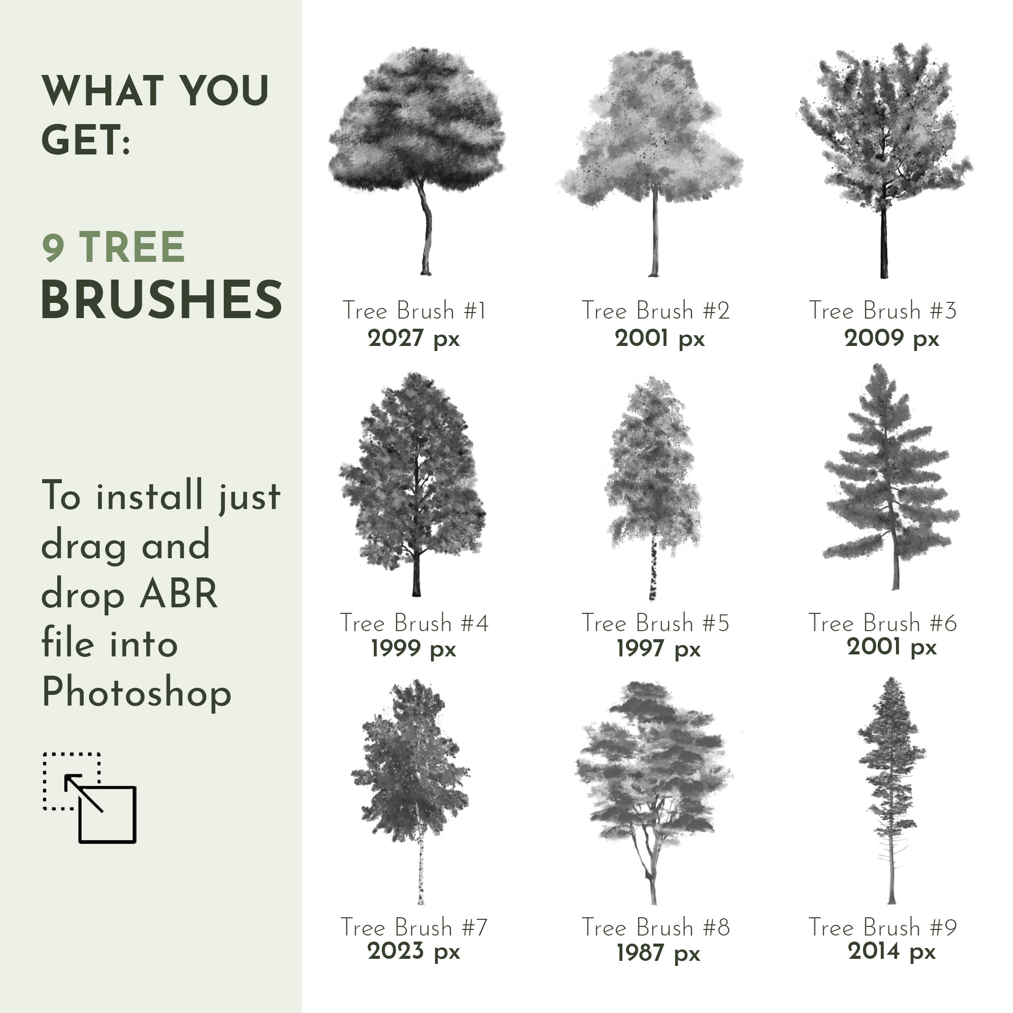 Photoshop Brush Set ABSTRACT TREE Abr + Png + Jpg / Illustration Pack ...