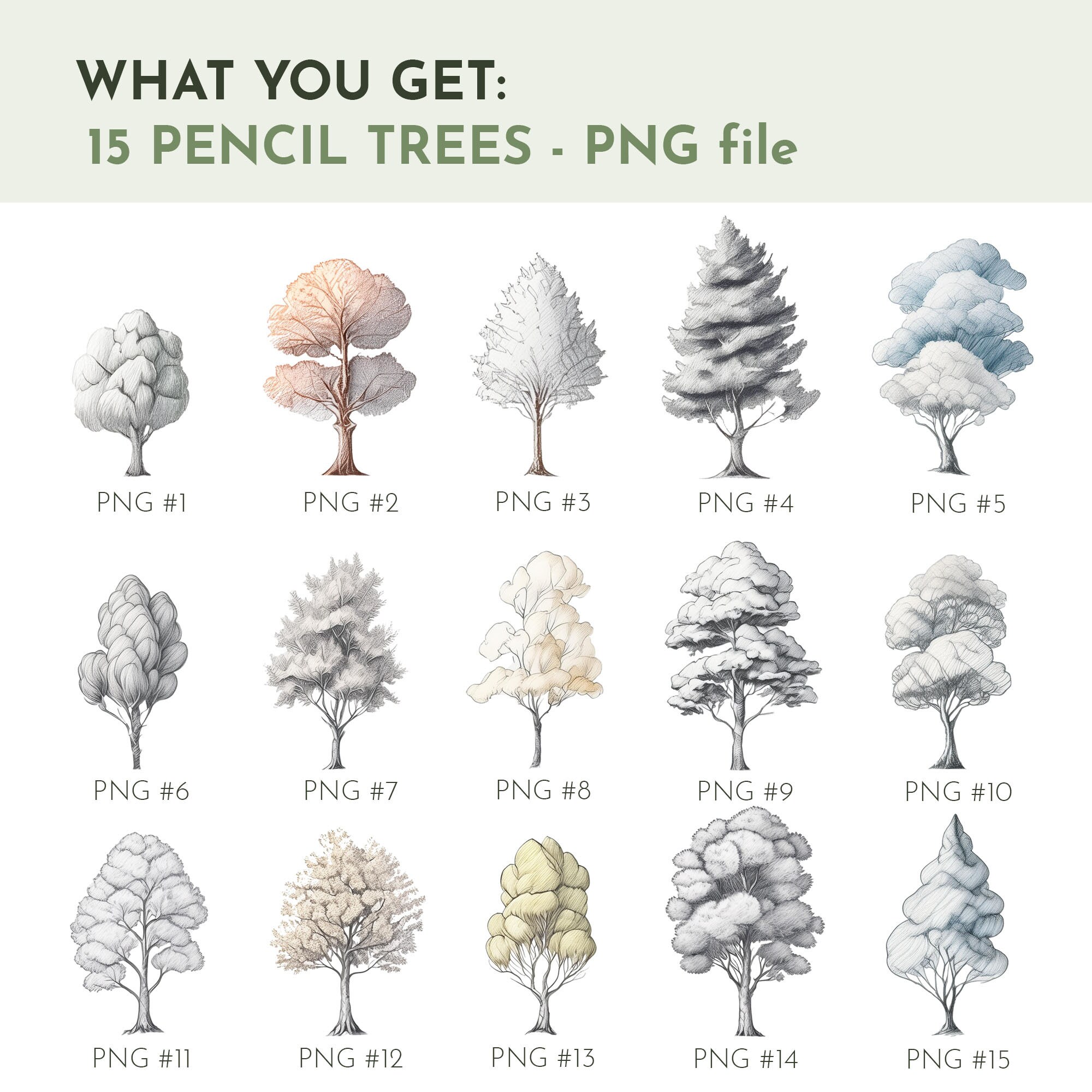 Photoshop Brush Set PENCIL TREES Abr Png Jpg / Illustration Pack / High ...