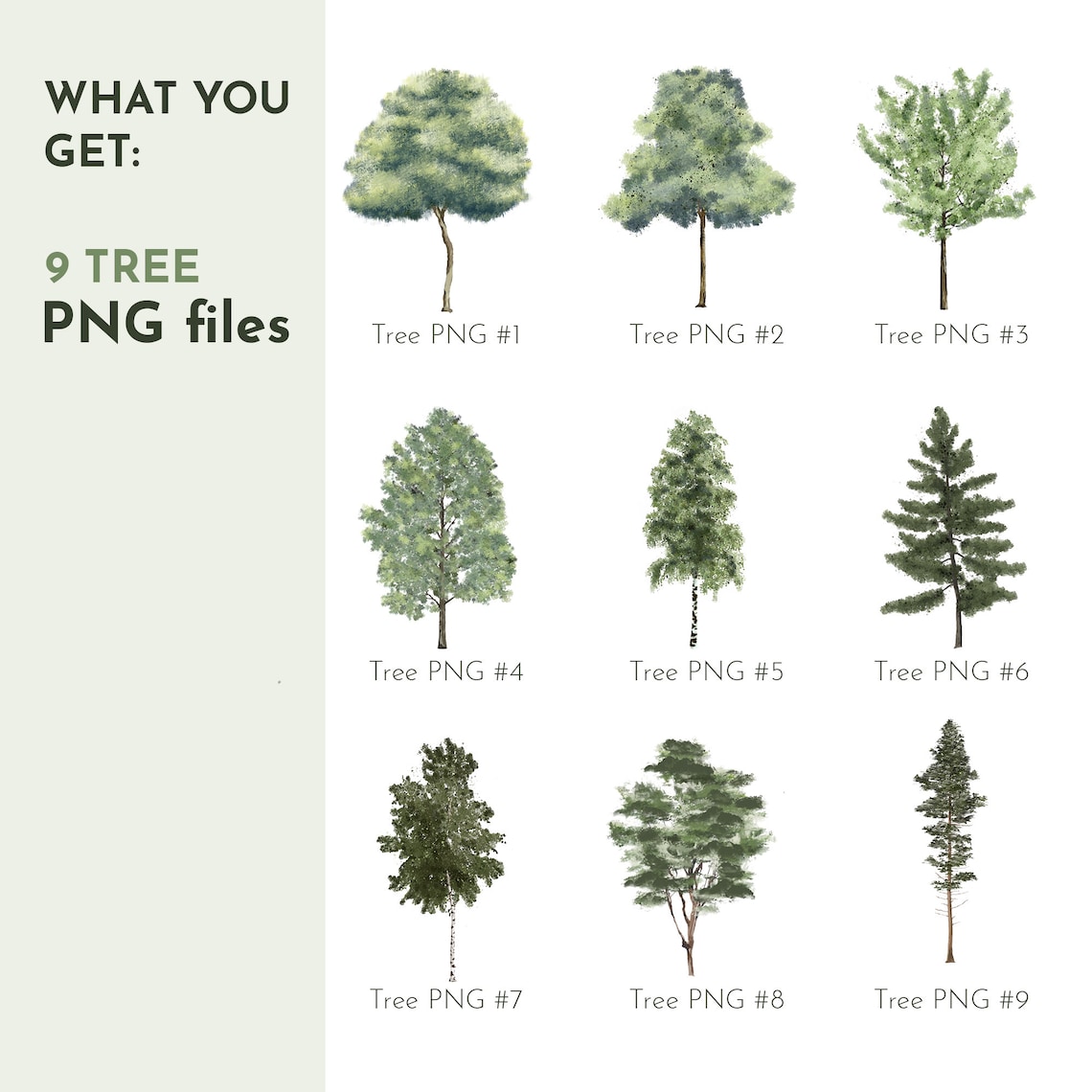 Photoshop Brush Set ABSTRACT TREE Abr + Png + Jpg / Illustration Pack ...