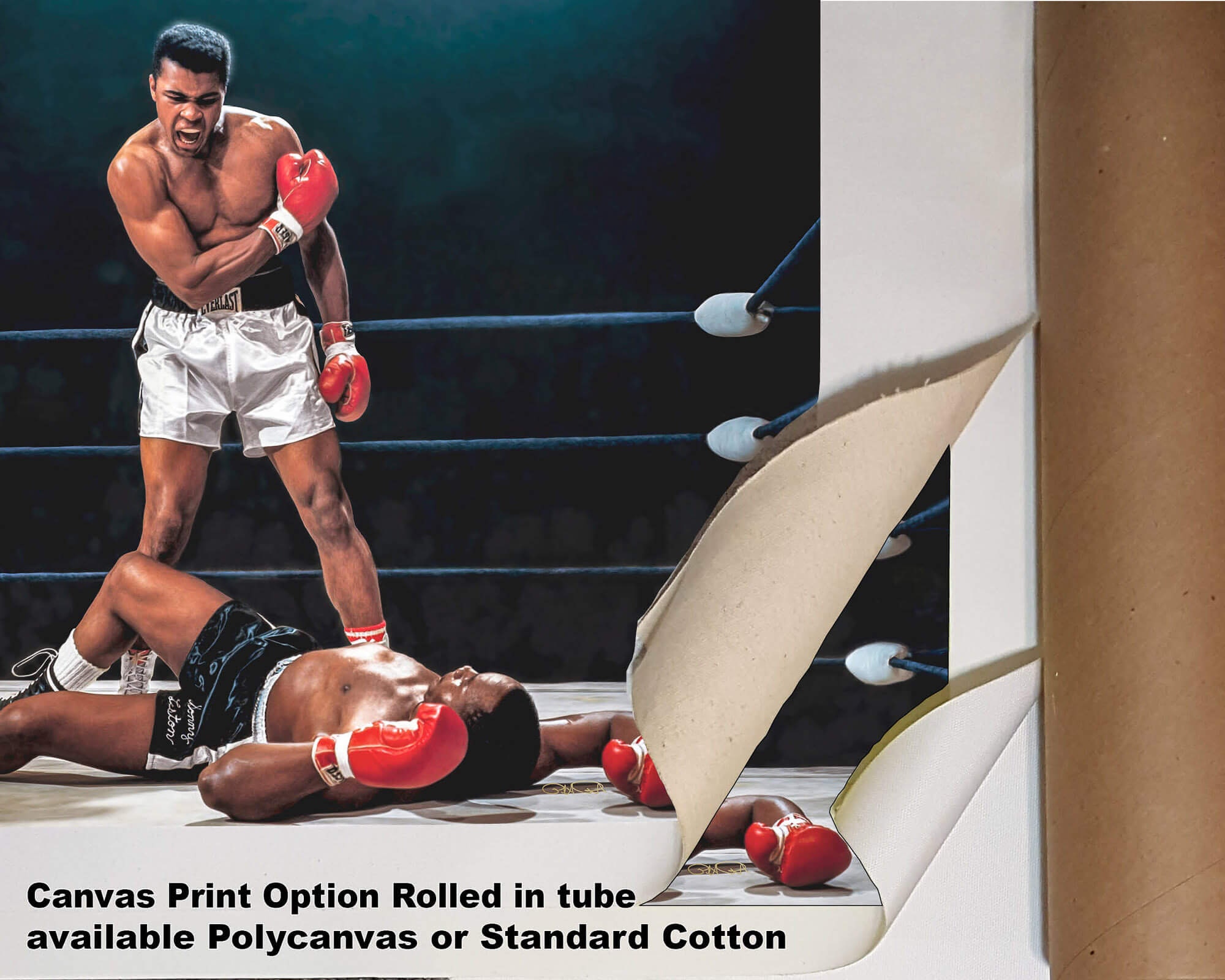 Muhamad Ali Cassius Clay Heavyweight Champion Boxing the Greatest Boxer ...