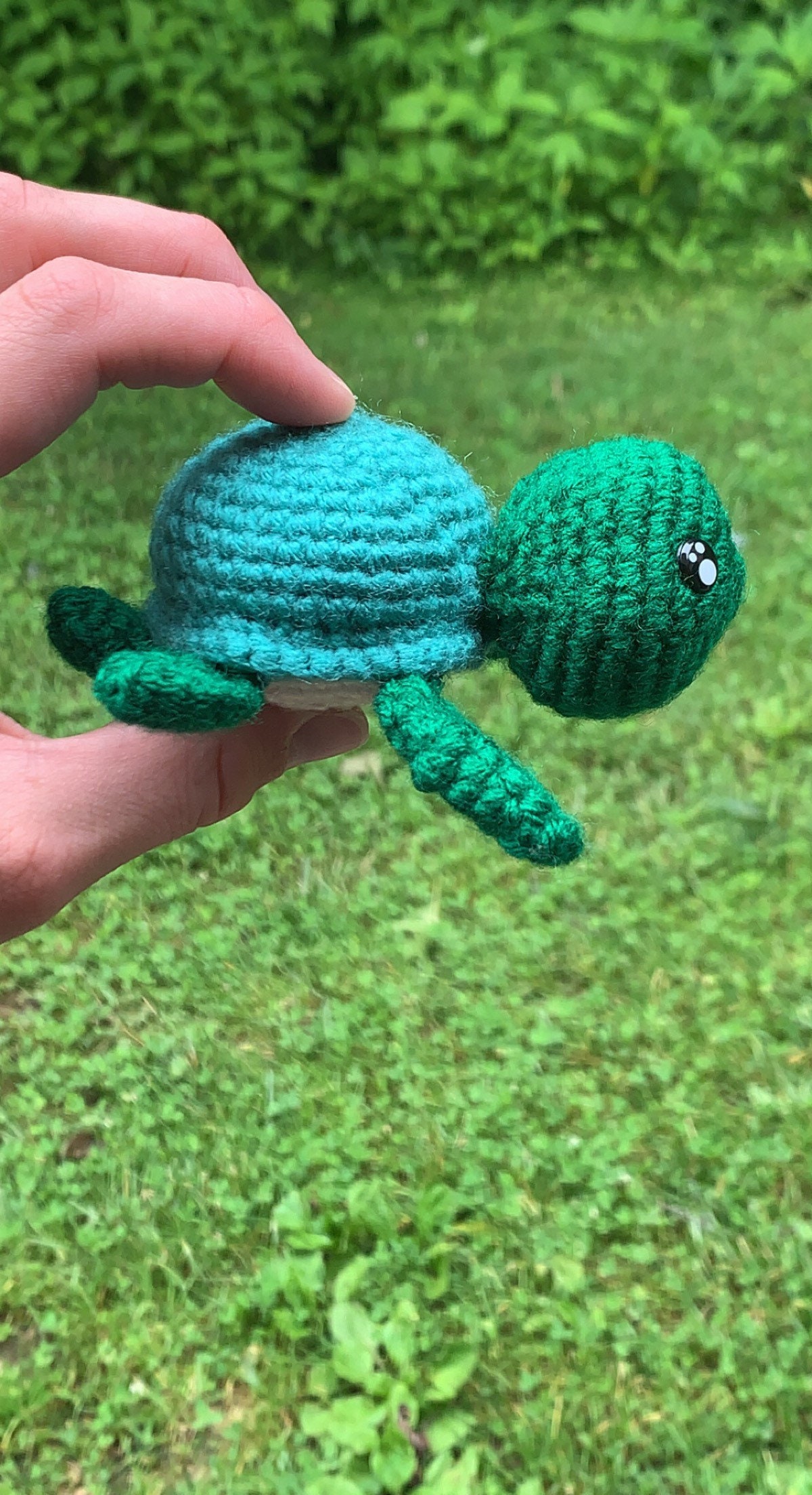 Small Dark Green Crochet Sea Turtle With Light Blue Shell Amigurumi ...