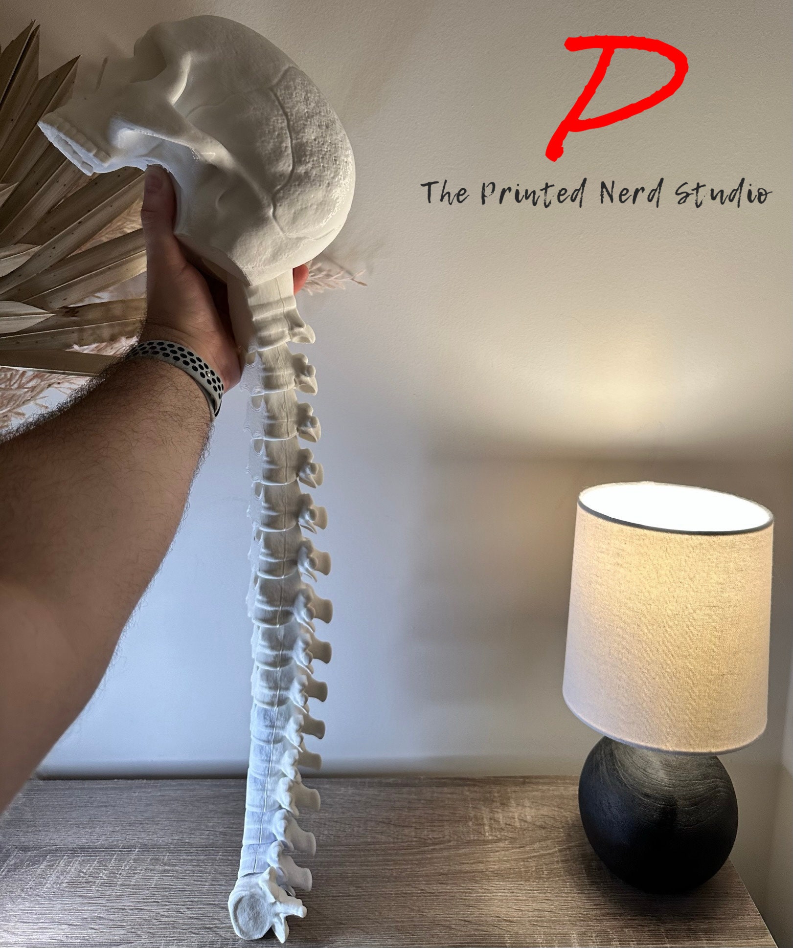 Predator Skull Trophy 3D Printed - Etsy