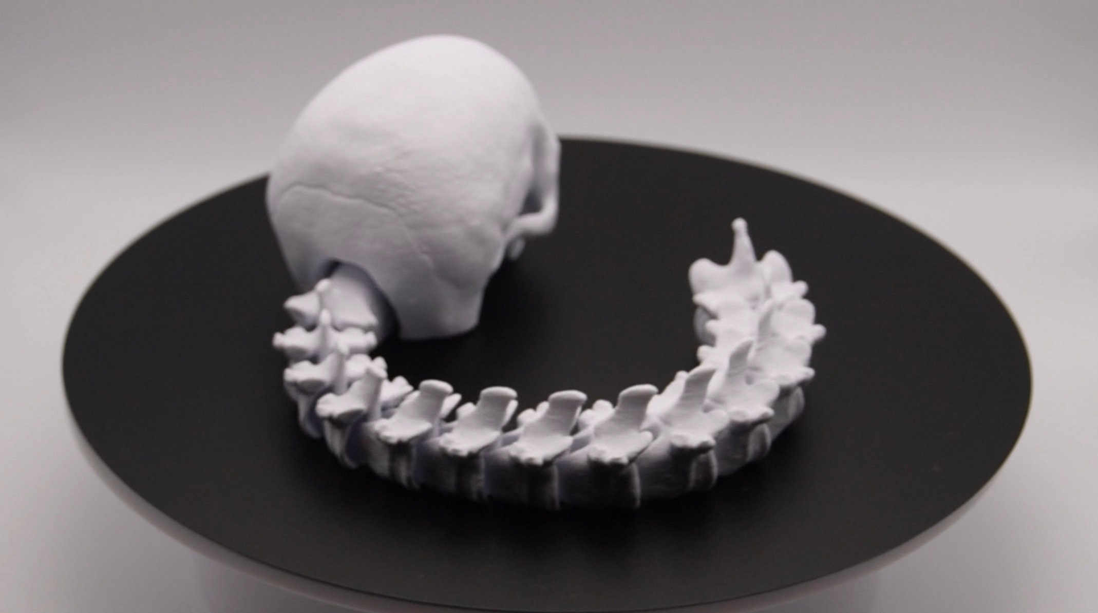 Predator Skull Trophy 3D Printed - Etsy