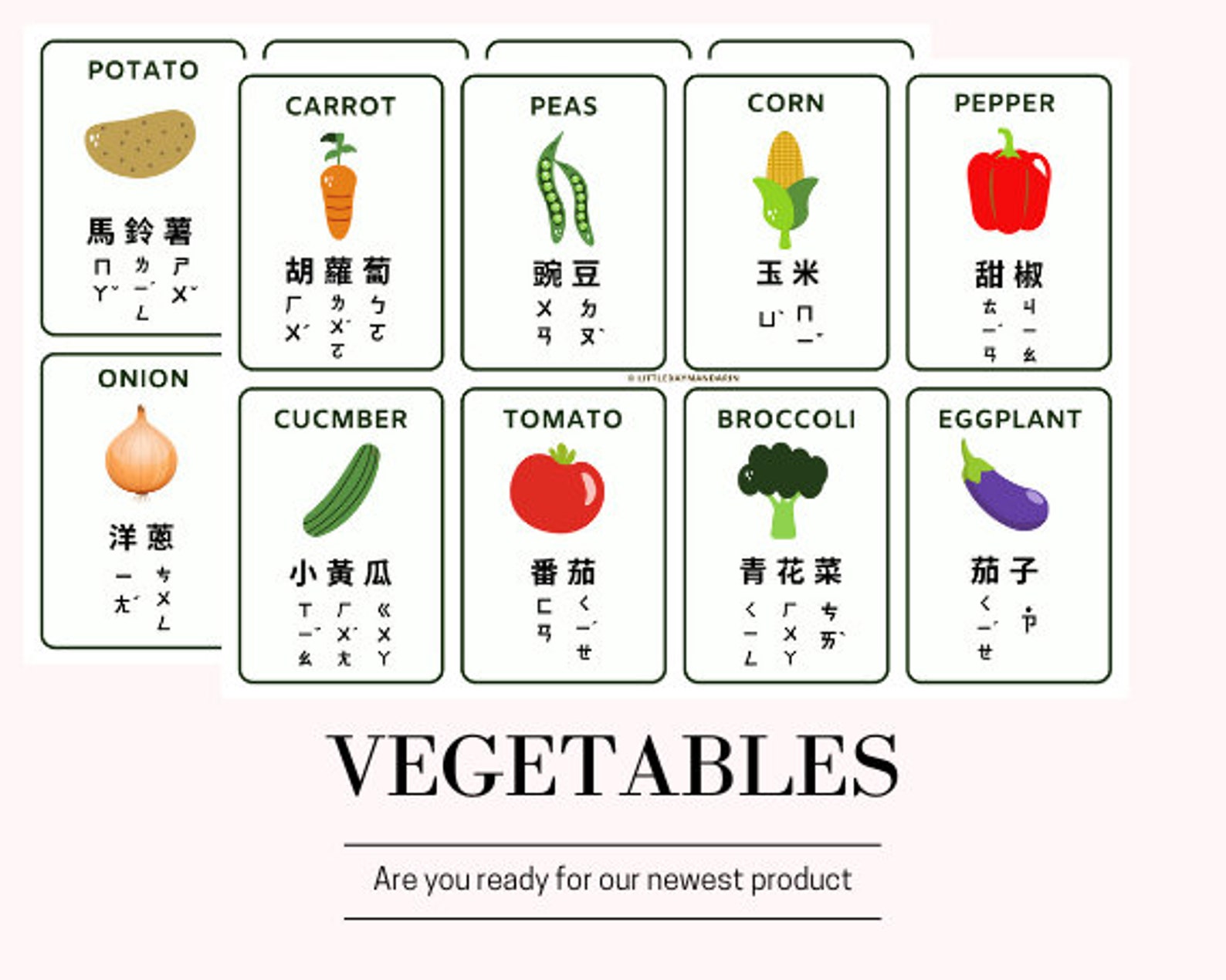 Learn Mandarin With Fruits and Vegetables in Zhuyin 注音 bopomofo ...