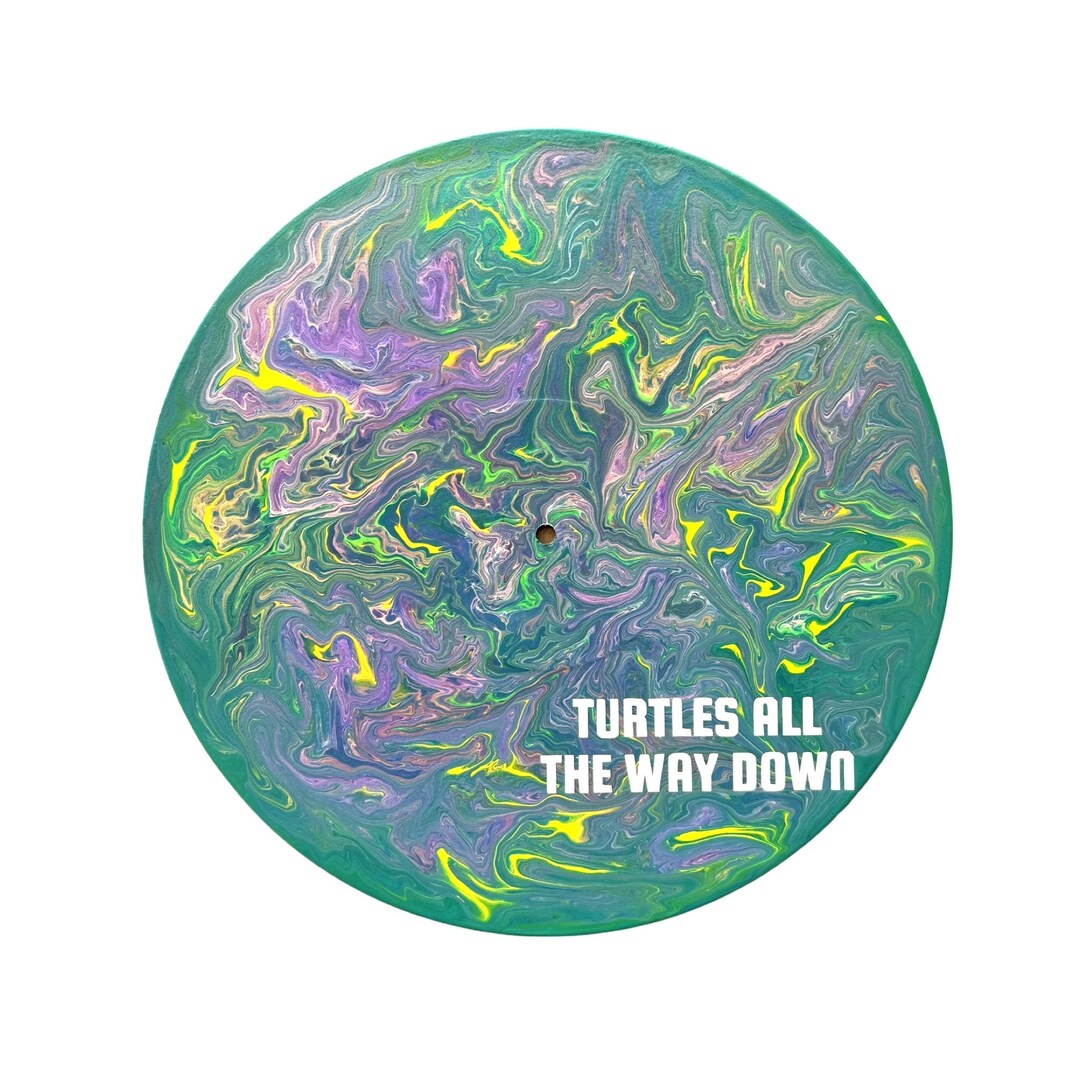 Sturgill Simpson Fan Art Turtles All the Way Down Song Lyrics Painted ...