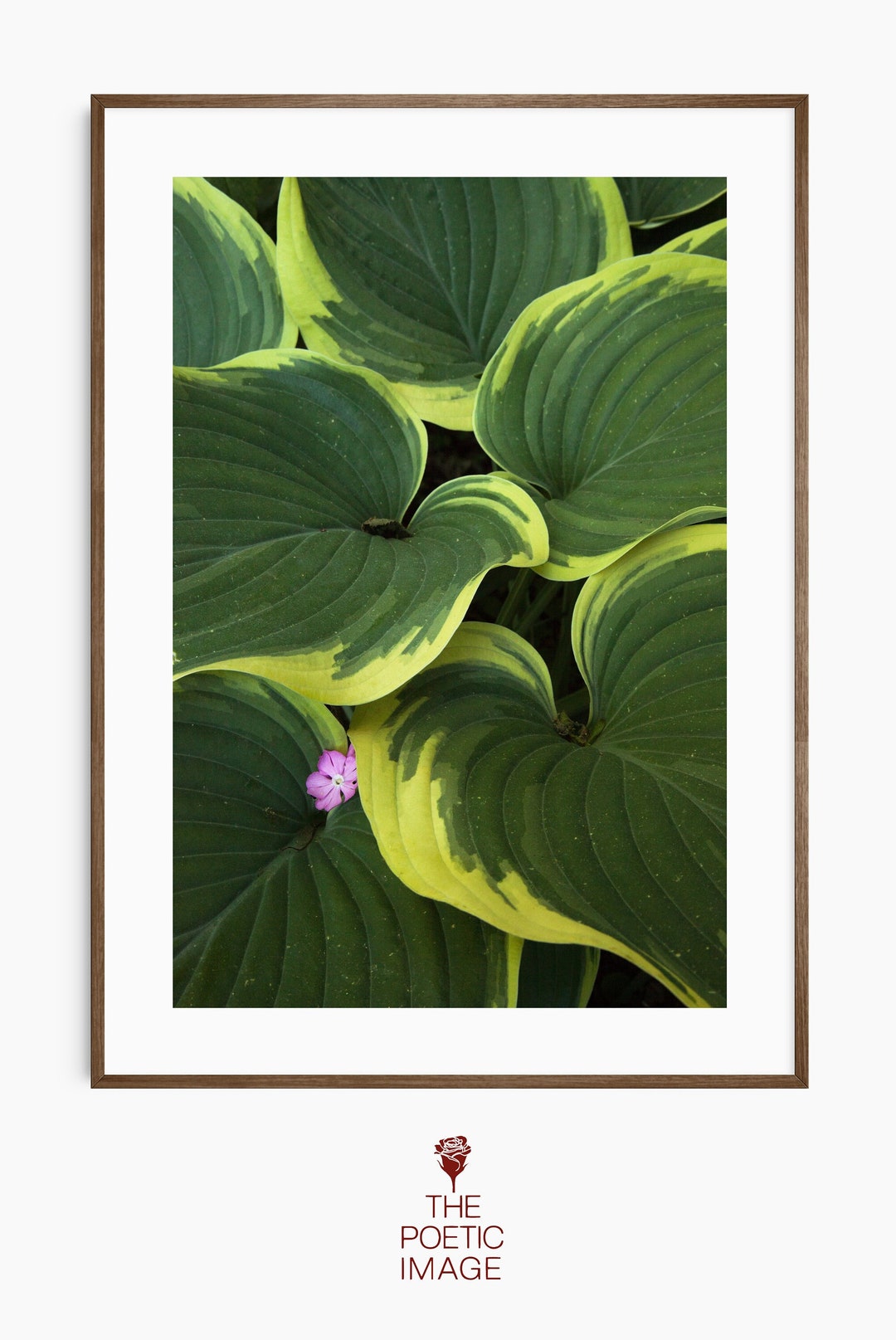 Hostas Digital Print, Garden Decor, Abstract Wall Art, Nature ...