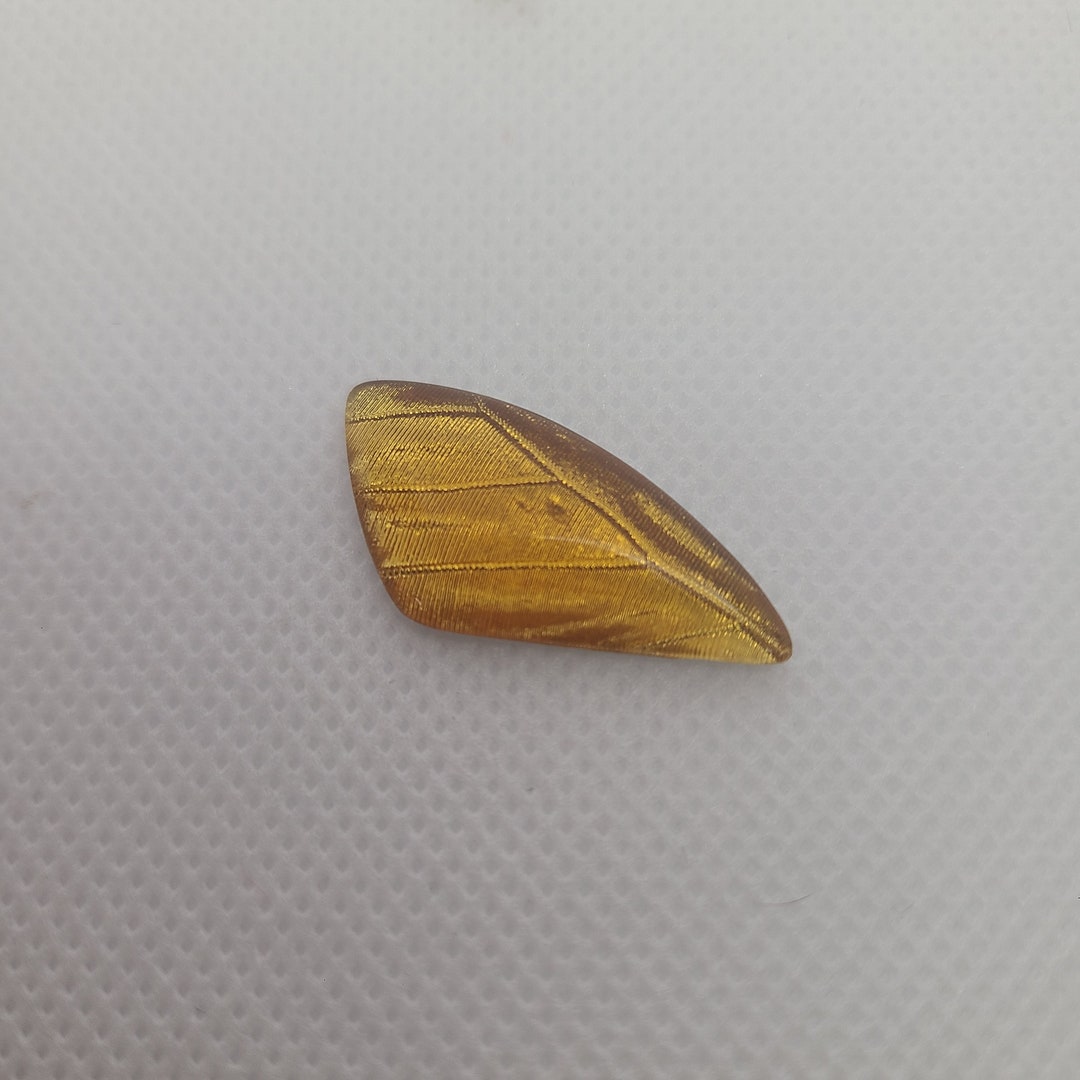German Glass Wing LEFT 30mm X 15mm Topaz Foil Back Flatback - Etsy