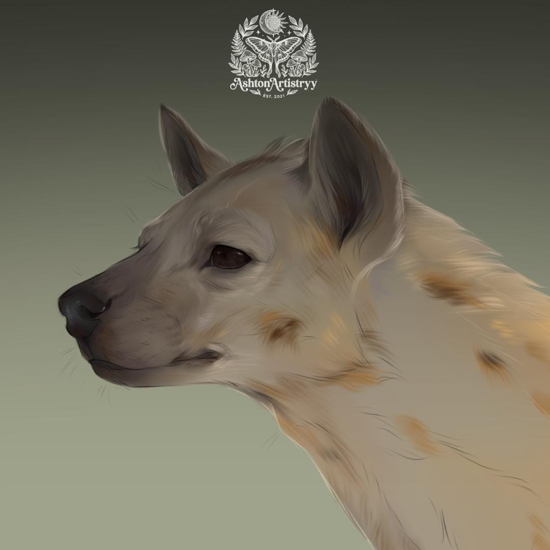 Whole Body Creature/animal Illustration | Personalized Custom Character ...