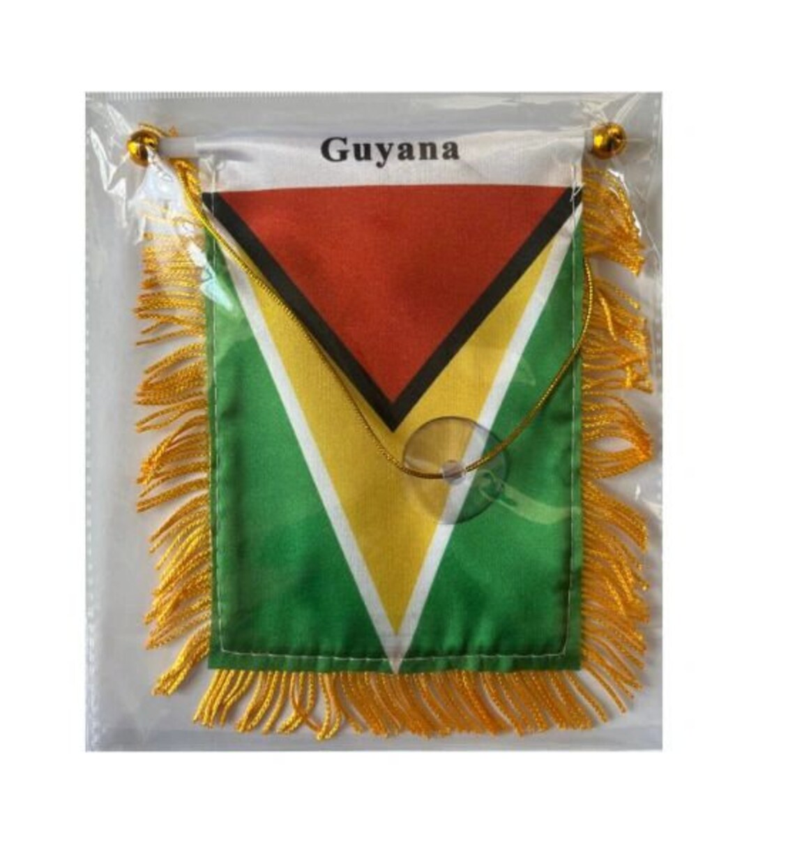 Guyanese Flag Window Hanging Mini Banner - Etsy