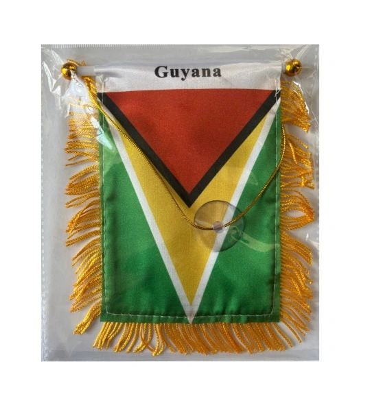 Guyanese Flag Window Hanging Mini Banner - Etsy
