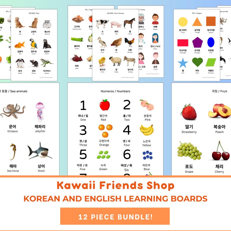 Korean Educational Poster - Etsy