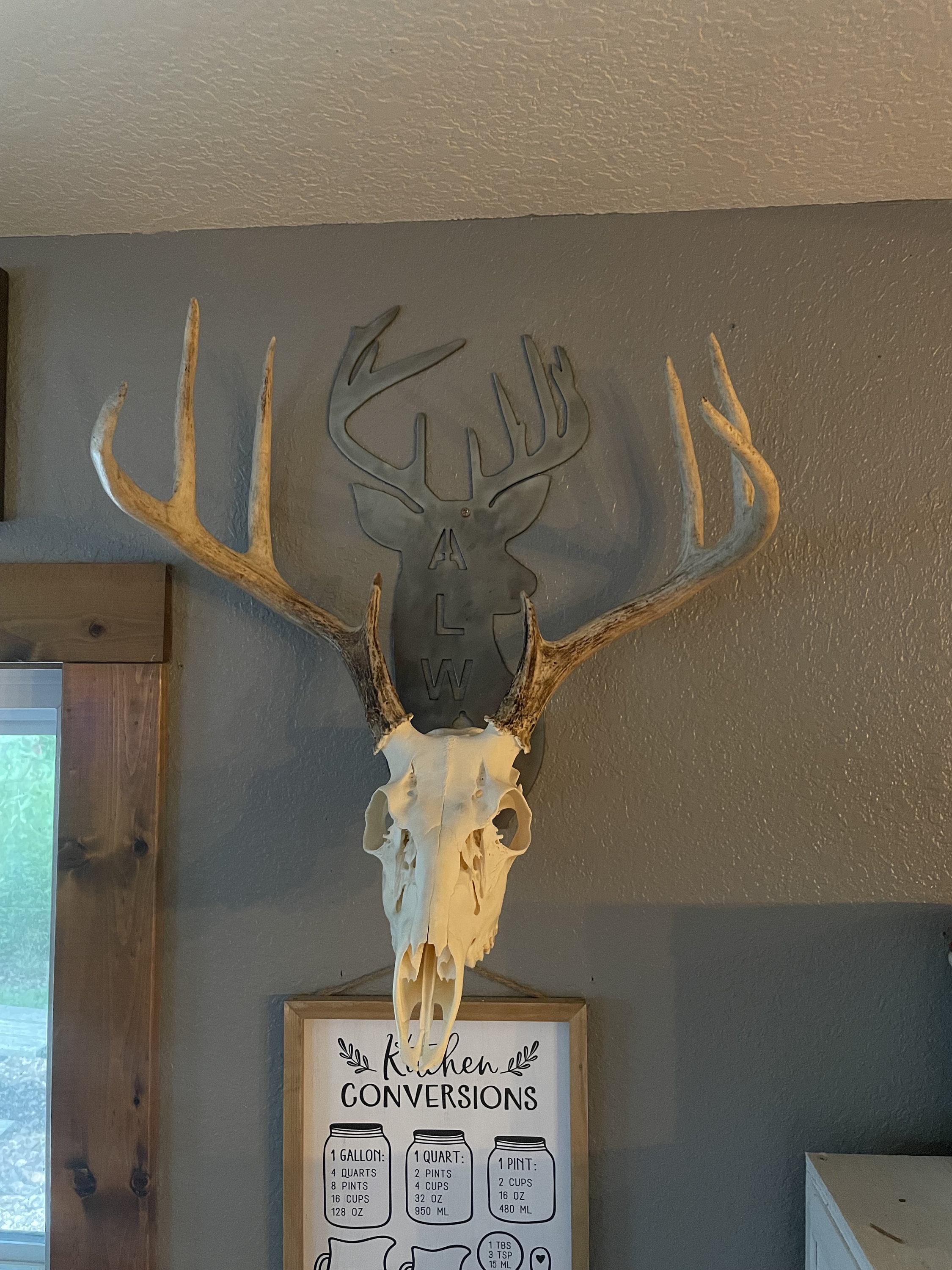 Custom Metal European Mount Hanger/ Deer Skull Mount/ Metal Hanger - Etsy