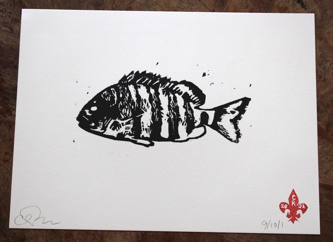 Gulf Coast Sheepshead Fish Linocut Print (wall Art) - Etsy