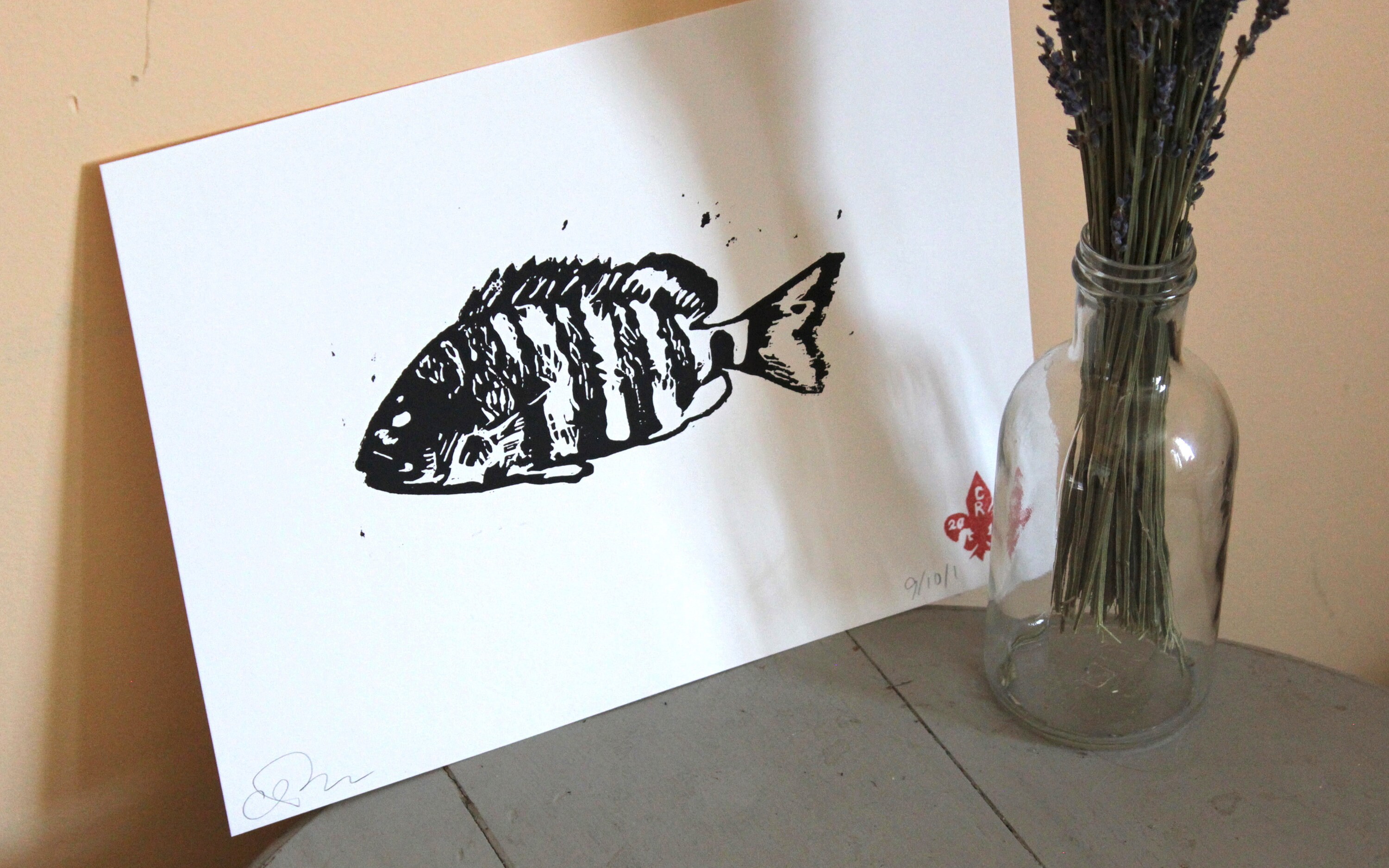 Gulf Coast Sheepshead Fish Linocut Print (wall Art) - Etsy