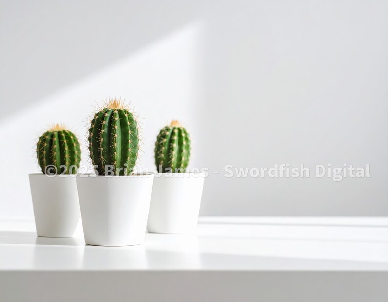 Minimalist Cactus Print Set: Modern Scandinavian Wall Art (digital ...