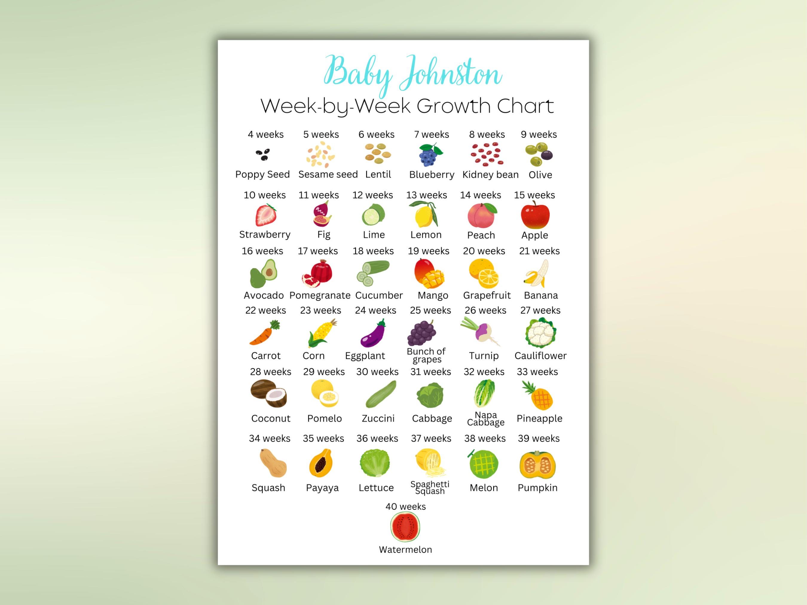 Baby Size Growth Chart Week by Week Pregnancy Milestone Fruit and ...