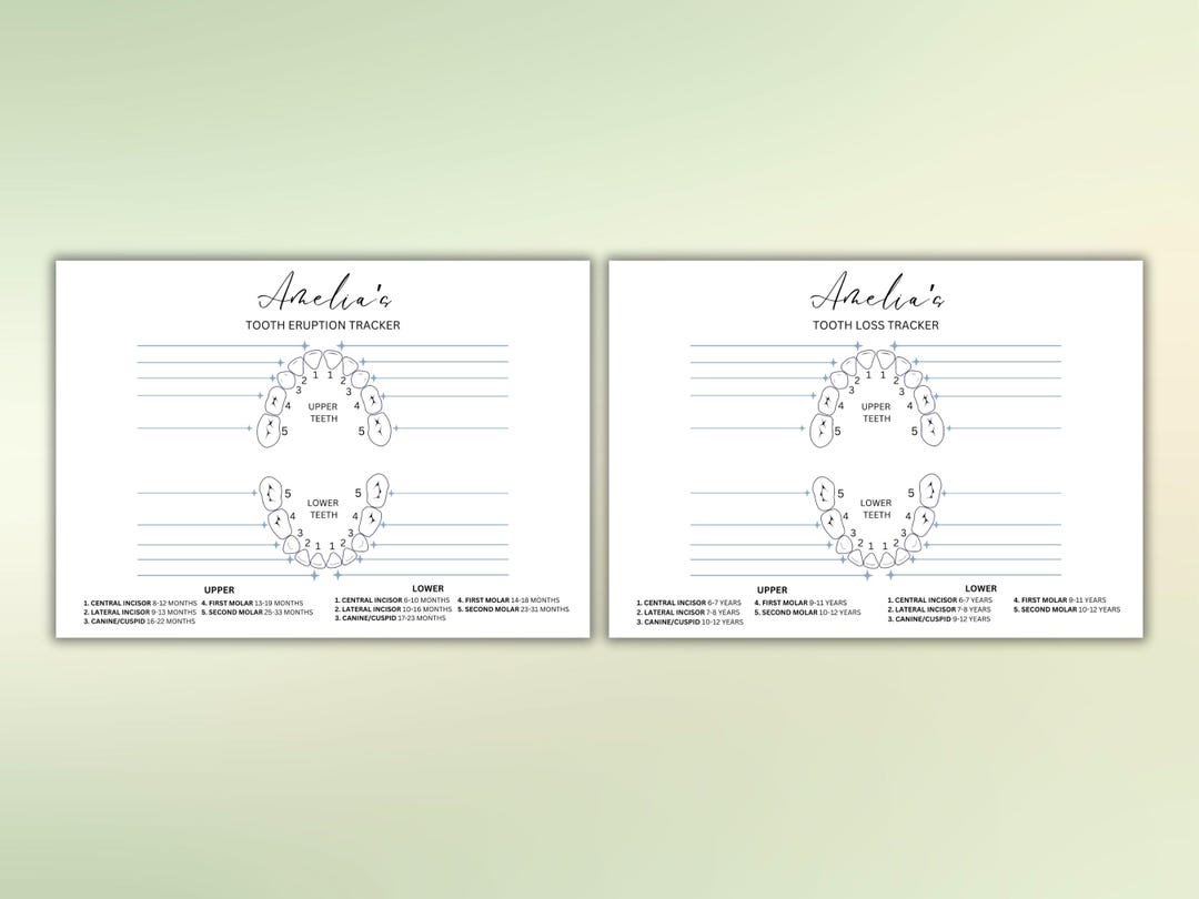 Baby Teething Record Chart Tooth Eruption and Loss Tracker My Teething ...