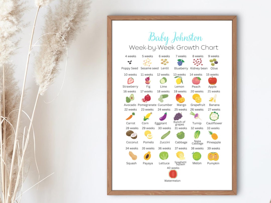 Baby Size Growth Chart Week by Week Pregnancy Milestone Fruit and ...