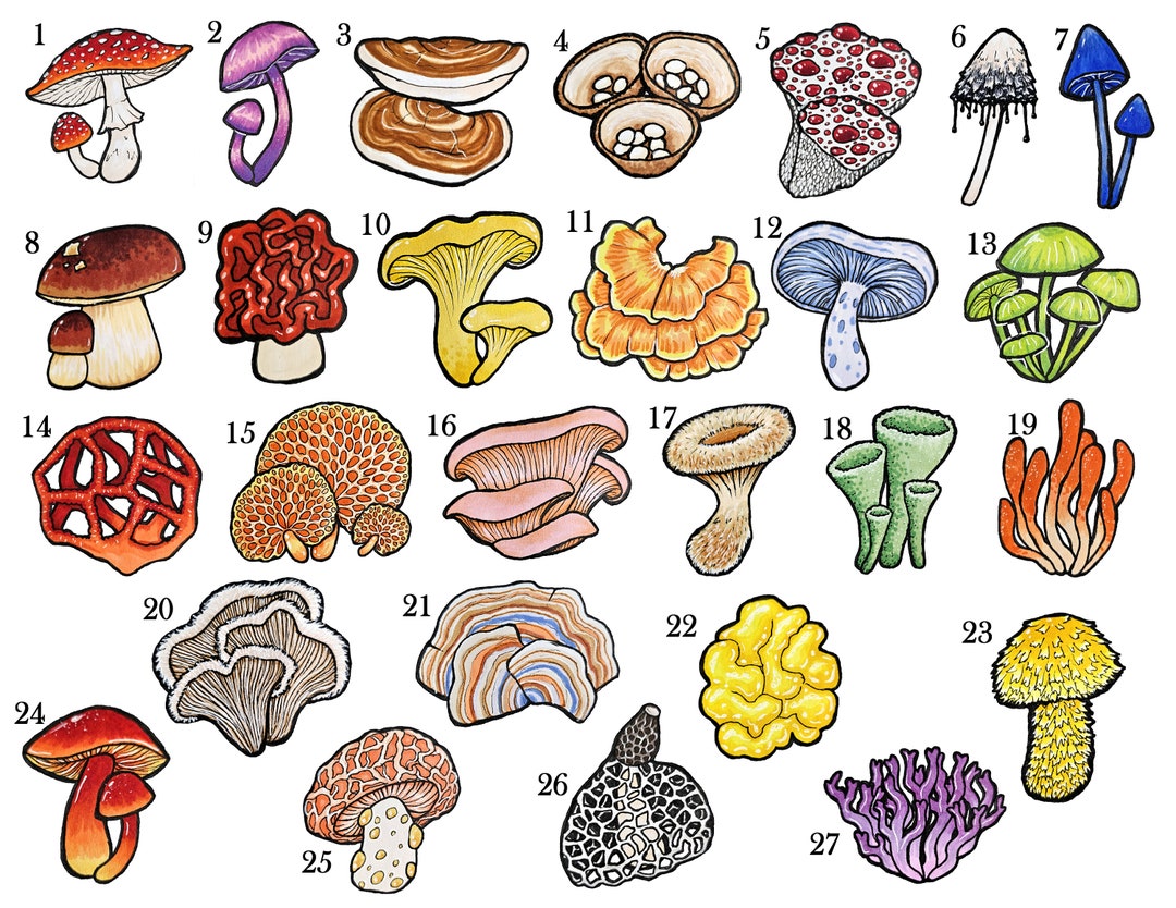 Wooden Hand Drawn Mushroom Pins - Etsy