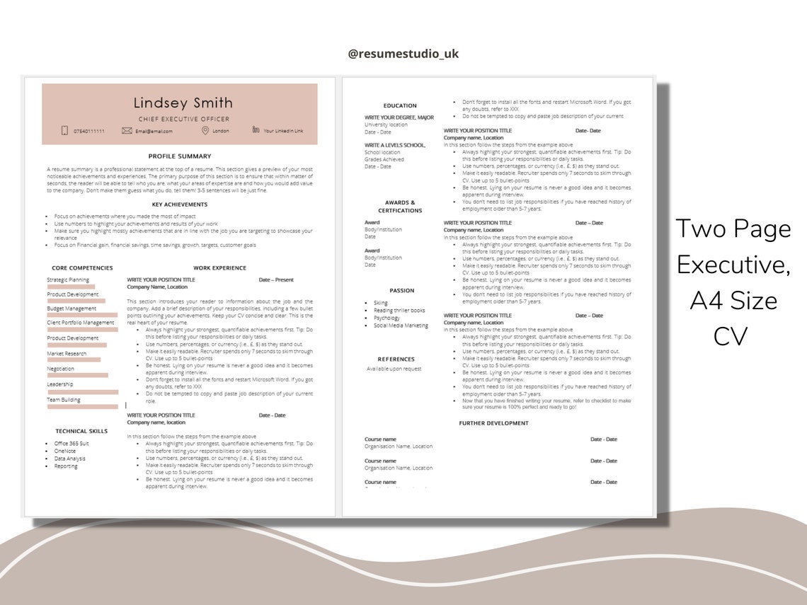 2 Page Executive Resume Template| Cover Letter and References| Template ...