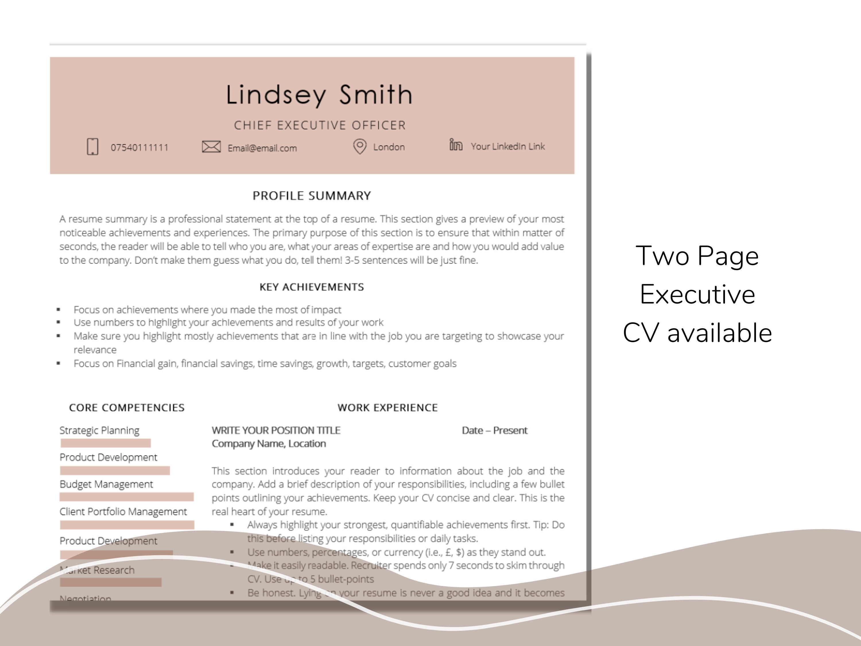 2 Page Executive Resume Template| Cover Letter and References| Template ...