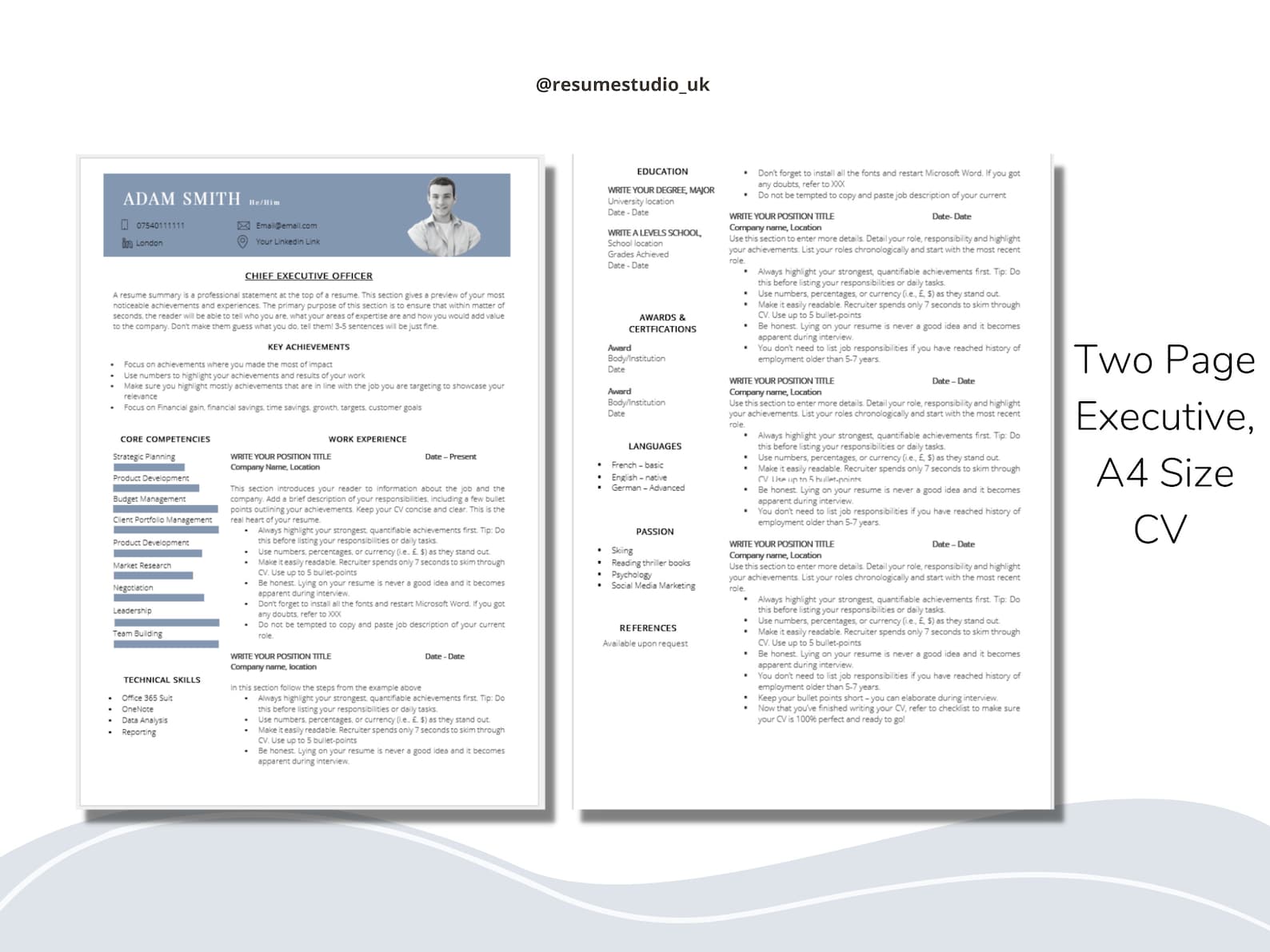 2 Page Executive Resume Template| Cover Letter and References Template ...