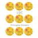 LDC Stickers Building My Future With Jehovah Digital - Etsy