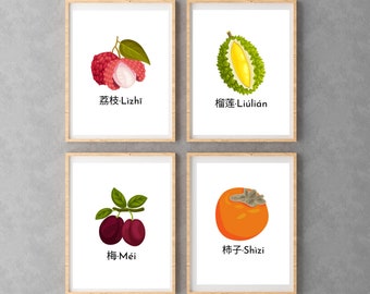 Animal Flashcards Learn Mandarin Chinese Homeschool Nursery - Etsy