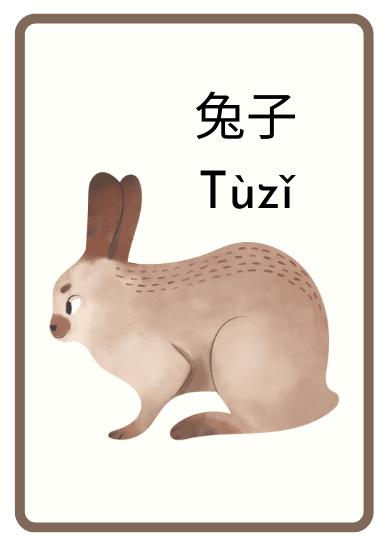 Animal Flashcards Learn Mandarin Chinese Homeschool Nursery Preschool ...
